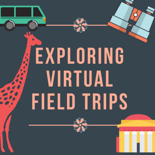 Six Strategies for Virtual Field Trips